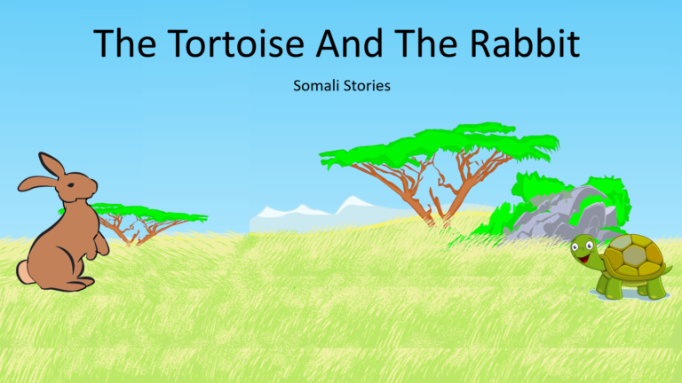 The rabbit and the tortoise - Somali For Kids